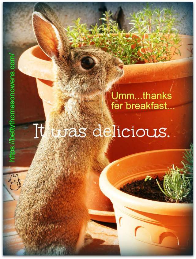 Brer Rabbit’s Return – Betty Thomason Owens