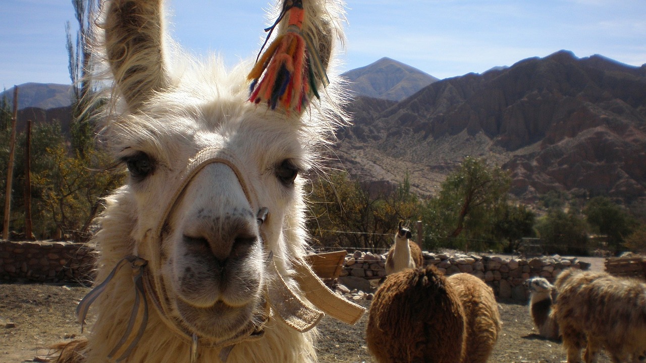 A Few Moments with Peggy Cunningham – Betty Thomason Owens